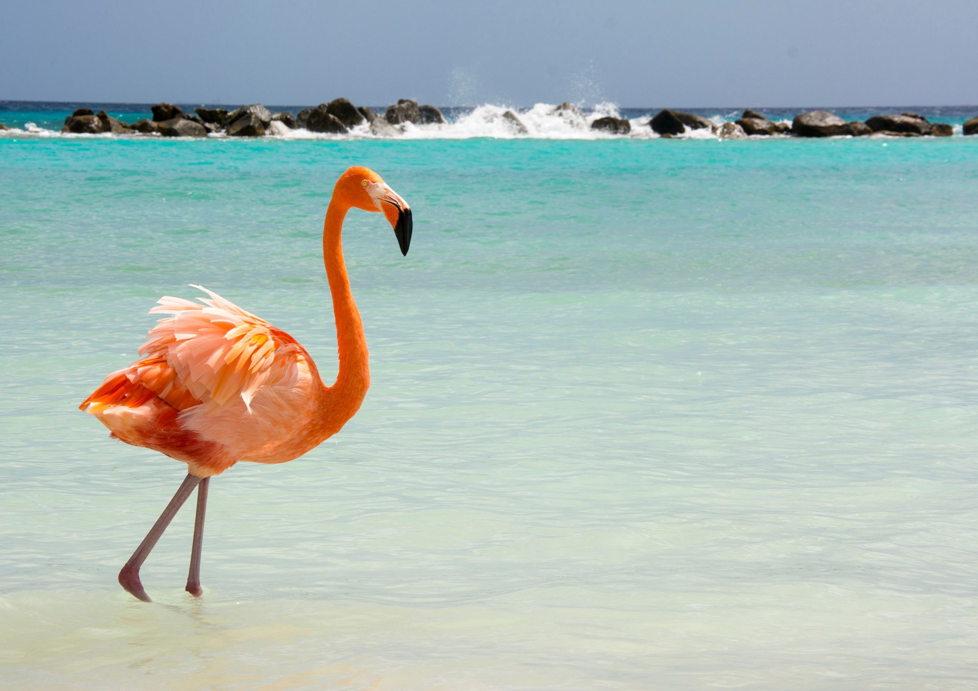 The Best Areas To Stay In Aruba: What To Know & What To Avoid! - Lucas ...
